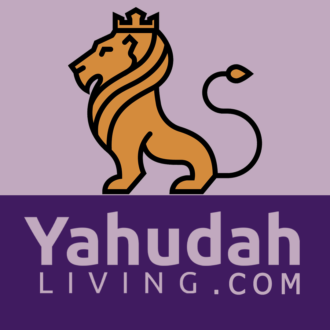 Artist Interview Info - Yahudah Living